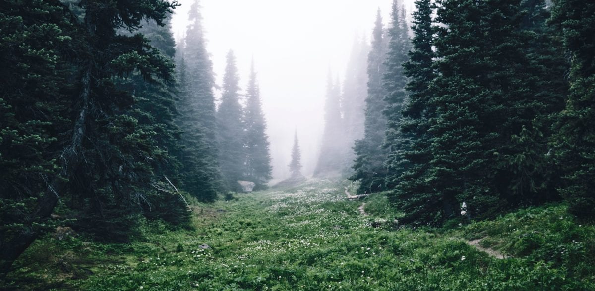 Seattle pacific northwest | Thrifty Traveler