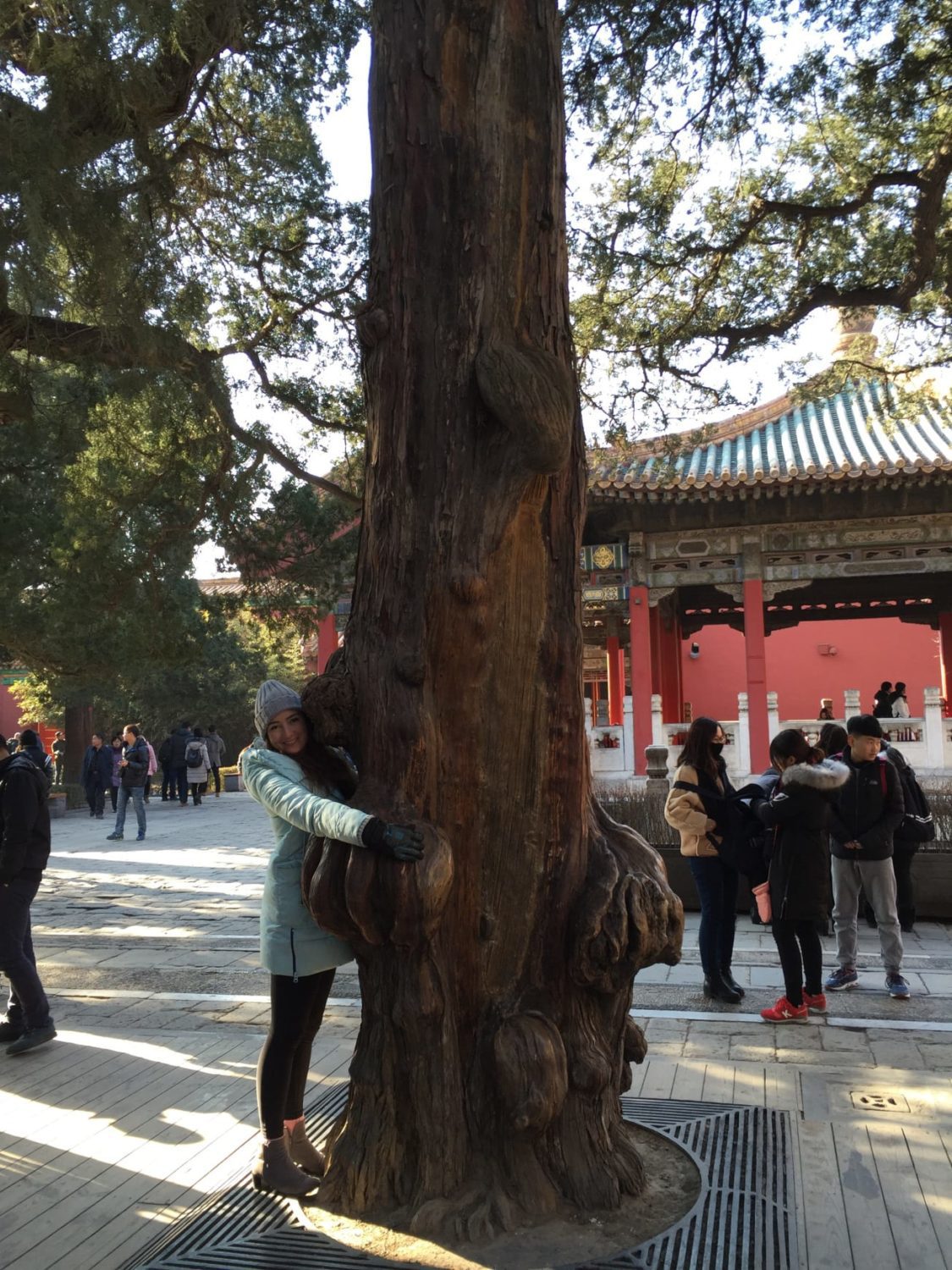 Thrifty Traveler's Guide to Exploring Beijing, China by Subway