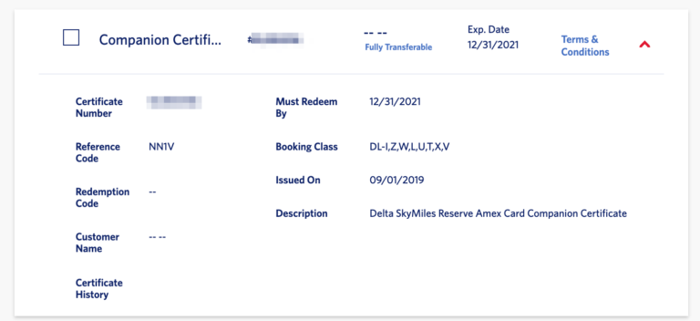How to Maximize Your Delta Companion Ticket in 2022