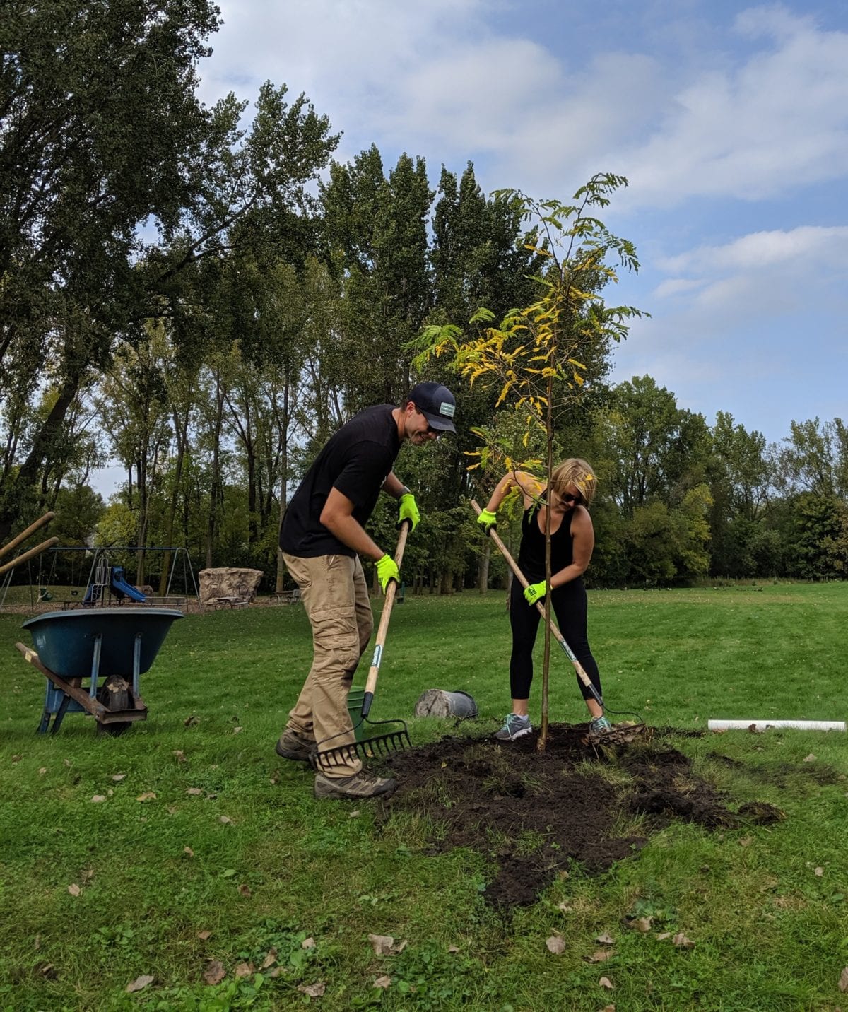 treetrustplanting | Thrifty Traveler