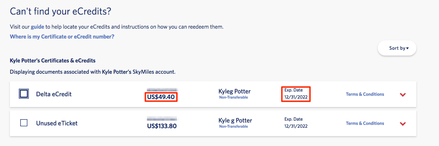 How to Use Delta eCredits & Vouchers to Book New Flights