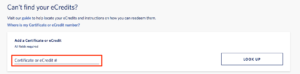 How to Use Delta eCredits & Vouchers to Book New Flights