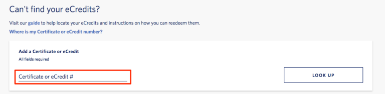 How to Use Delta eCredits & Vouchers to Book New Flights