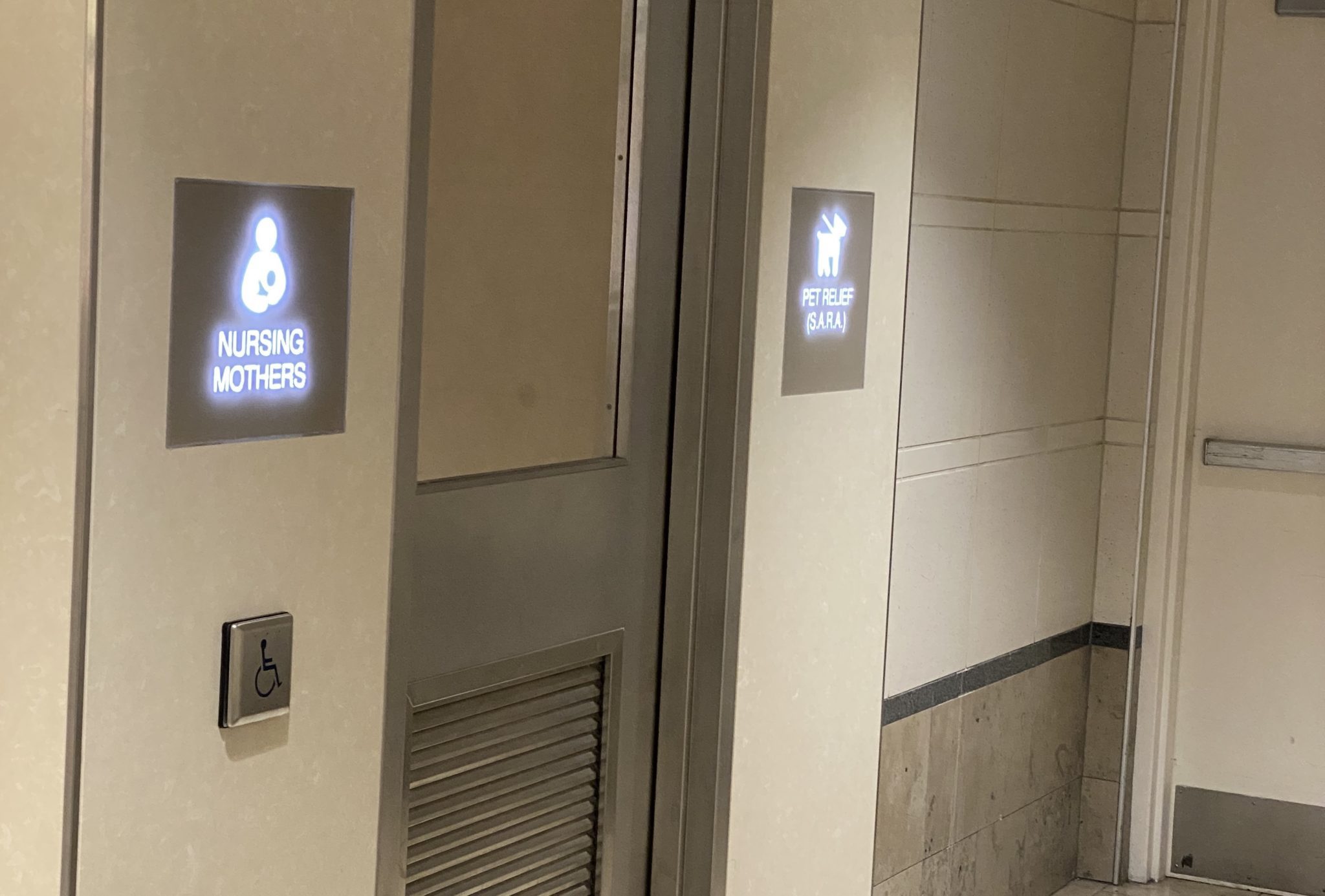 A First-Timer's Guide to Flying with a Carry-On Pet