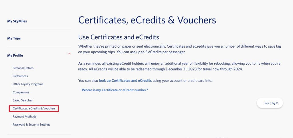 Delta Makes it Much Easier to Find Flights for Companion Certificates