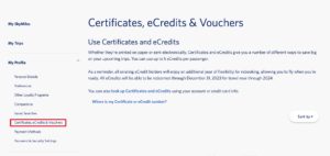 Delta Makes it Much Easier to Find Flights for Companion Certificates