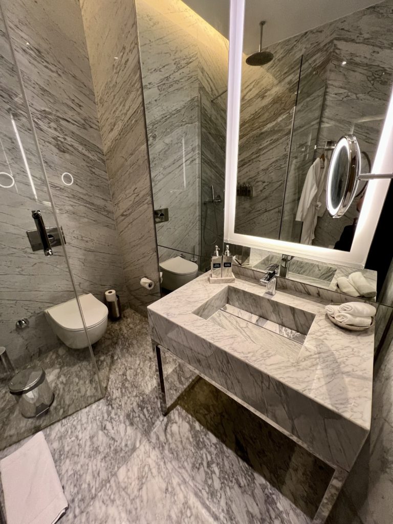 Turkish Airlines 787 Business Class Review, Istanbul to San Francisco