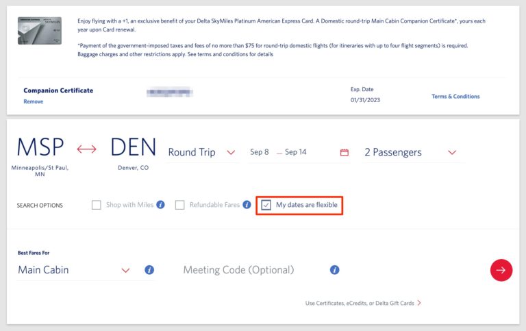 Delta Makes it Much Easier to Find Flights for Companion Certificates