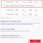 Delta Makes it Much Easier to Find Flights for Companion Certificates