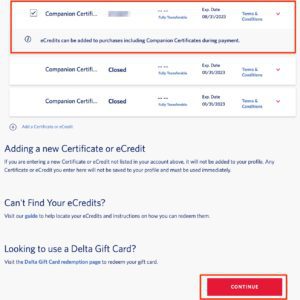 Delta Makes it Much Easier to Find Flights for Companion Certificates