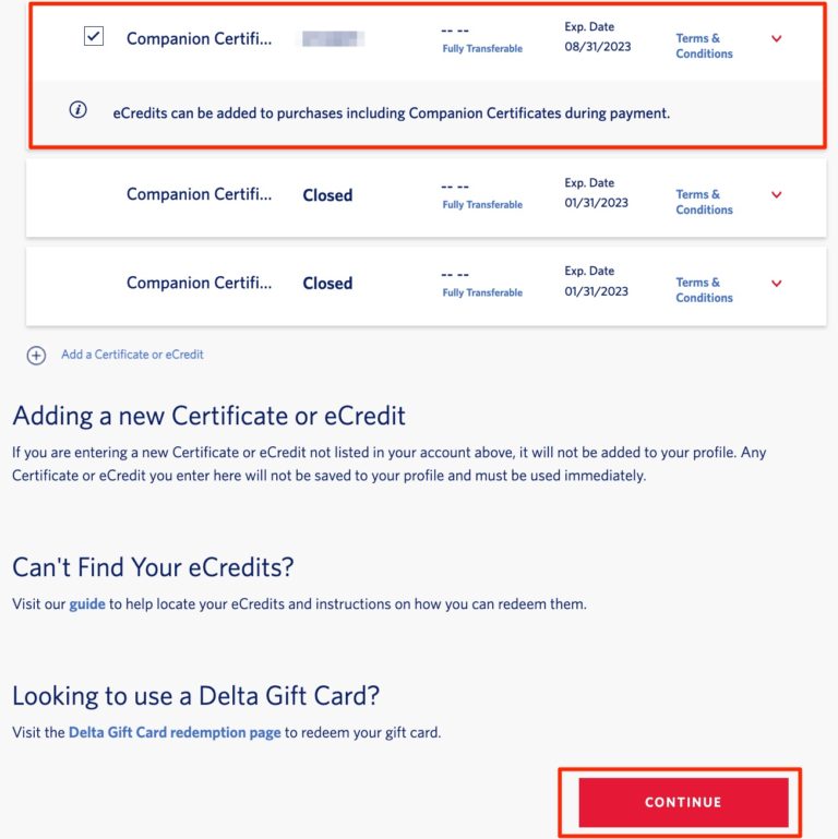 Delta Makes it Much Easier to Find Flights for Companion Certificates