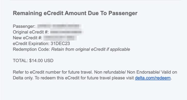 Final Call, Delta Flyers: Use (Or Lose) Your Delta eCredits ASAP!