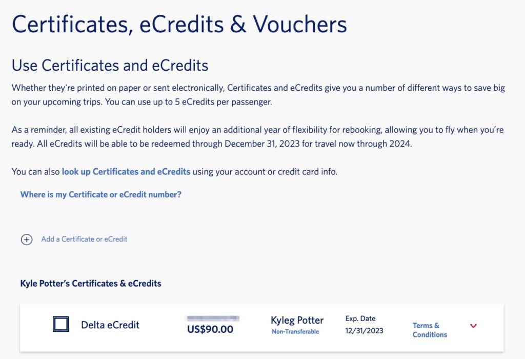 Final Call, Delta Flyers: Use (Or Lose) Your Delta eCredits ASAP!