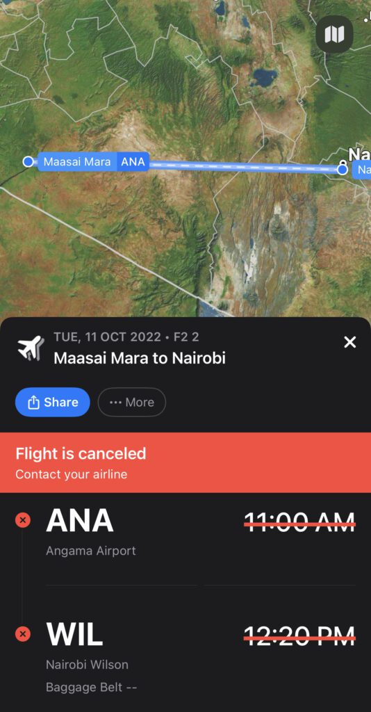 Review: Why Flighty Is a Must-Have App for Tracking Your Flights