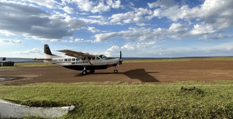 Safari Planning Tips: What You Need to Know to Travel to Africa