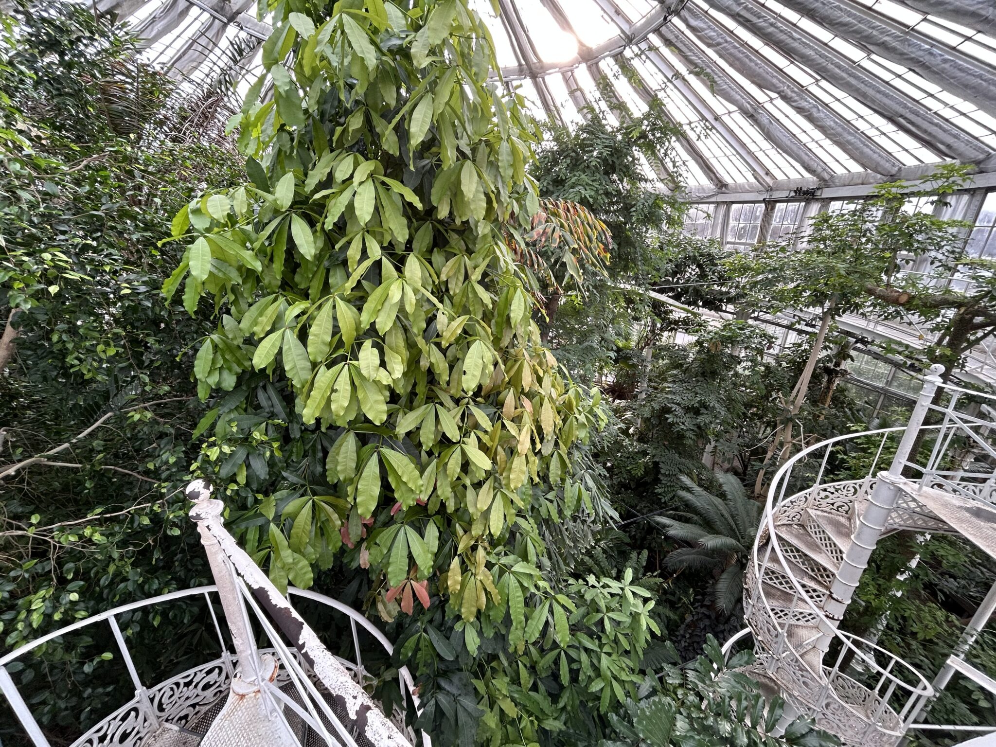 Charming & Cheap to Fly to: A Guide to Exploring Copenhagen