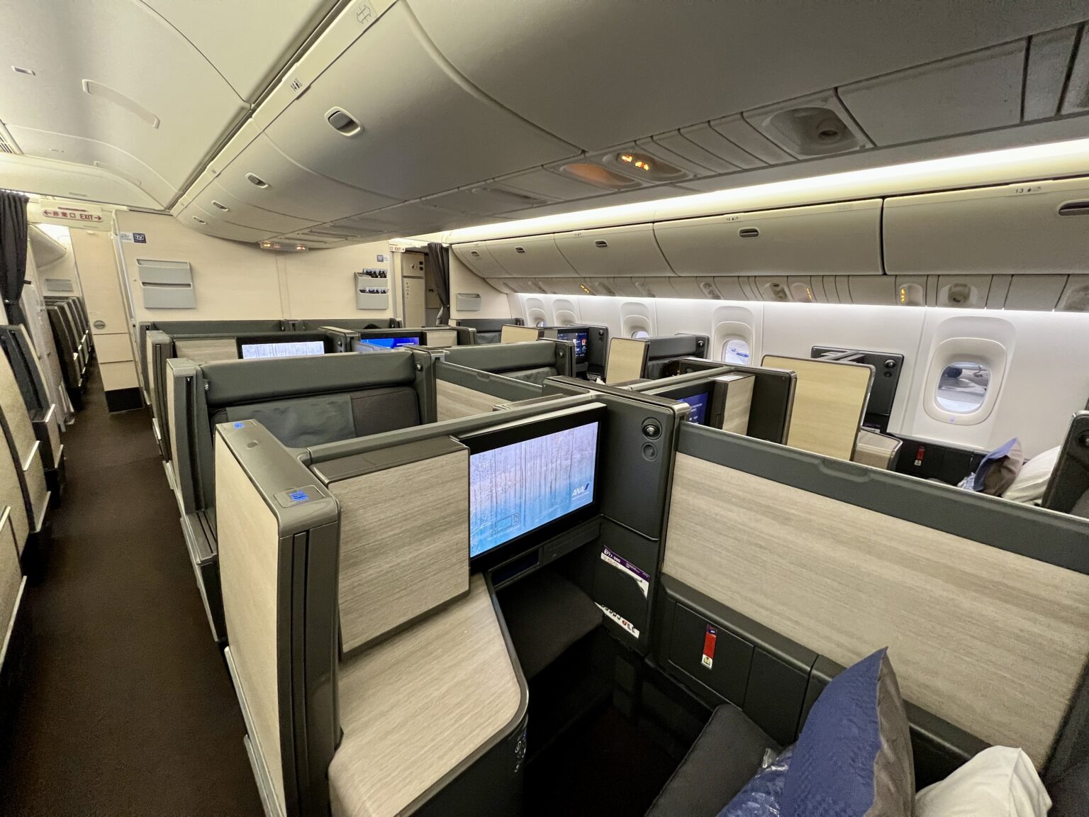 Review: ANA Business Class in "The Room" on the 777