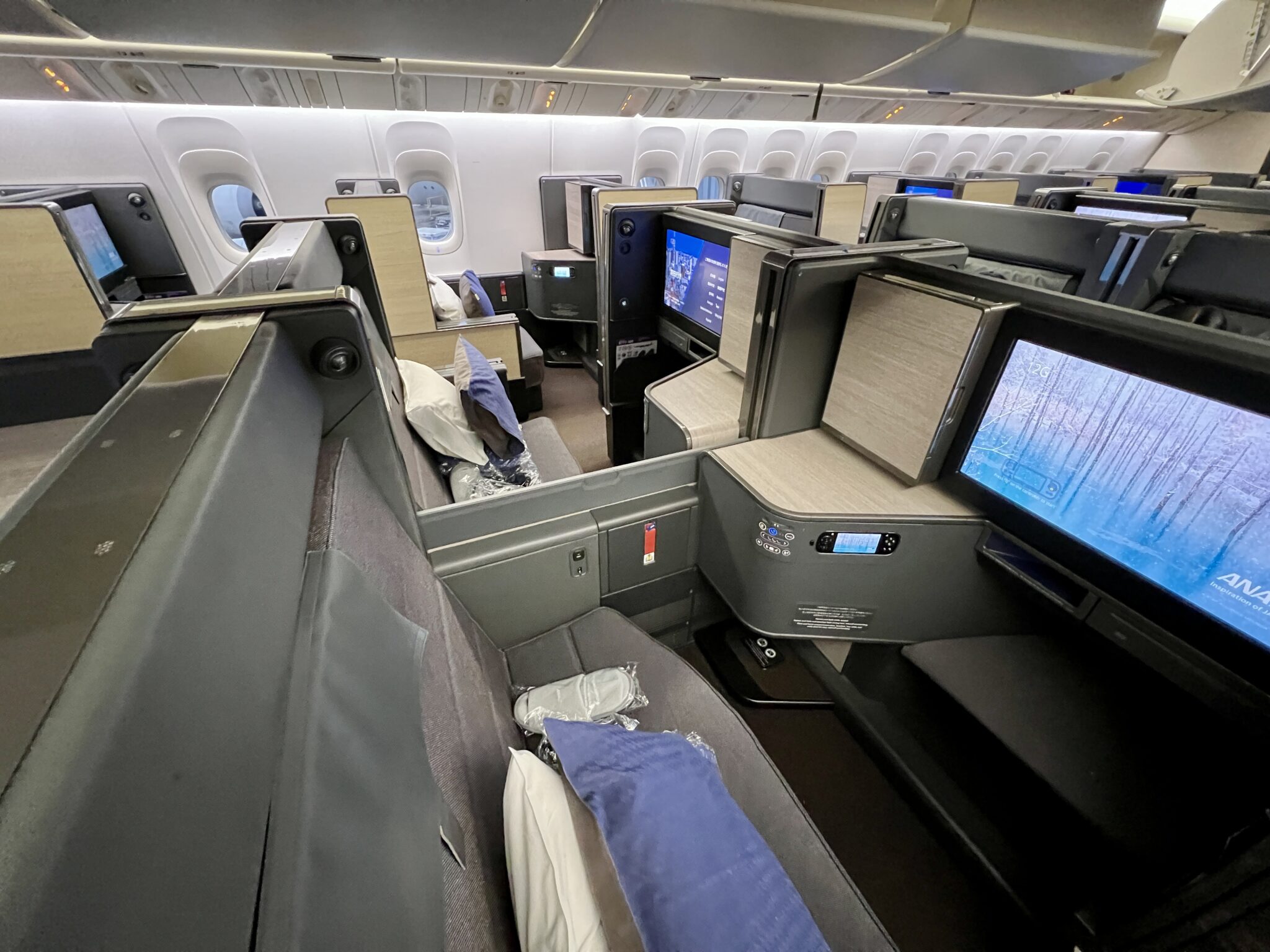 Review: ANA Business Class in "The Room" on the 777