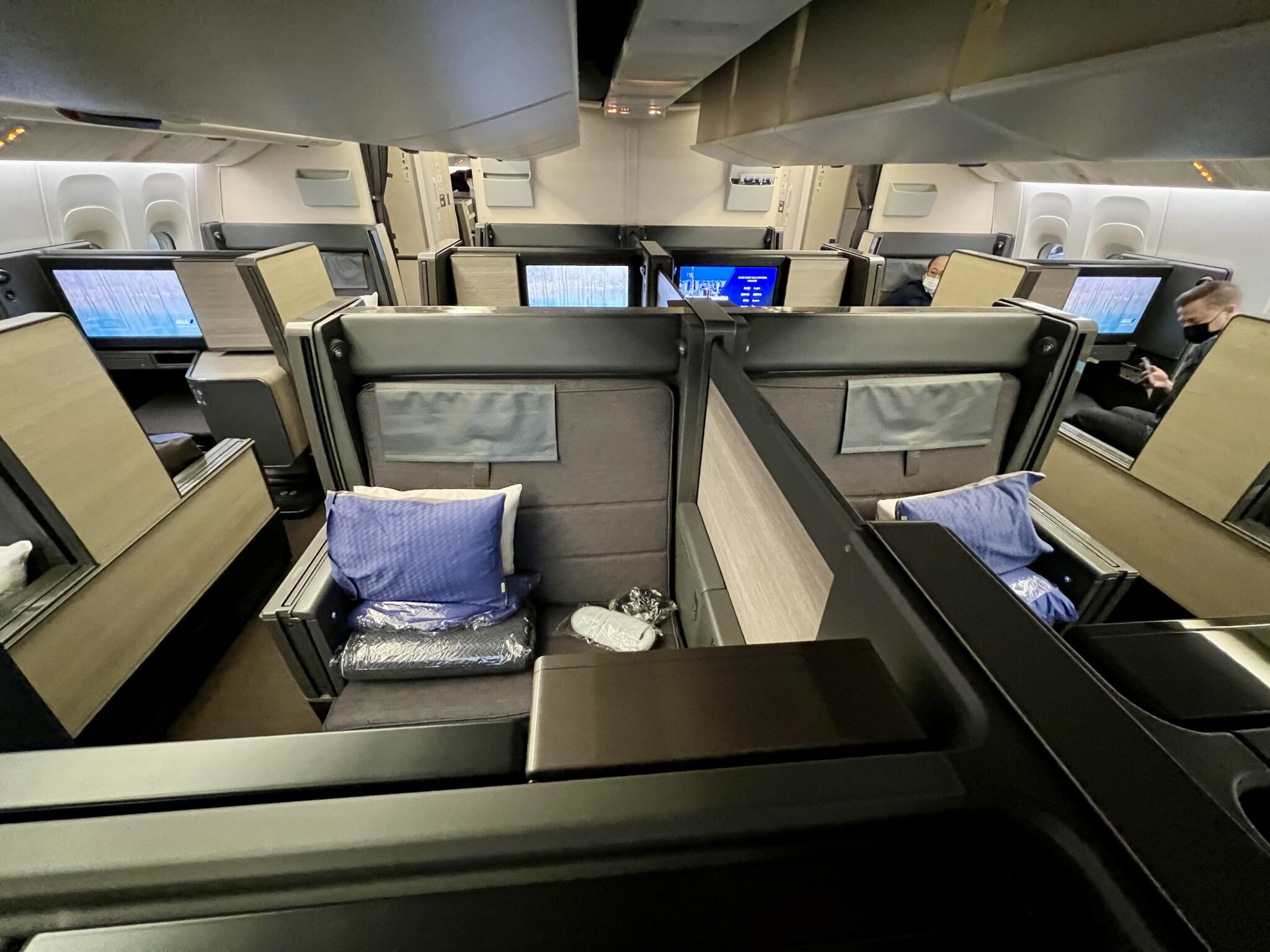 Review: ANA Business Class in "The Room" on the 777