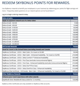 Goodbye SkyBonus: Delta Overhauls Small Business Loyalty Program