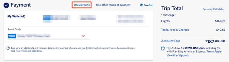 Final Call, Delta Flyers: Use (Or Lose) Your Delta eCredits ASAP!