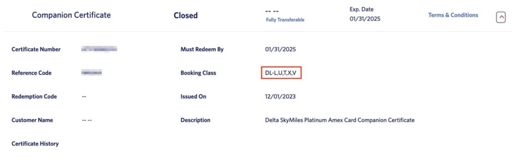 Easy Ways to Redeem Your Delta Companion Certificate This Winter
