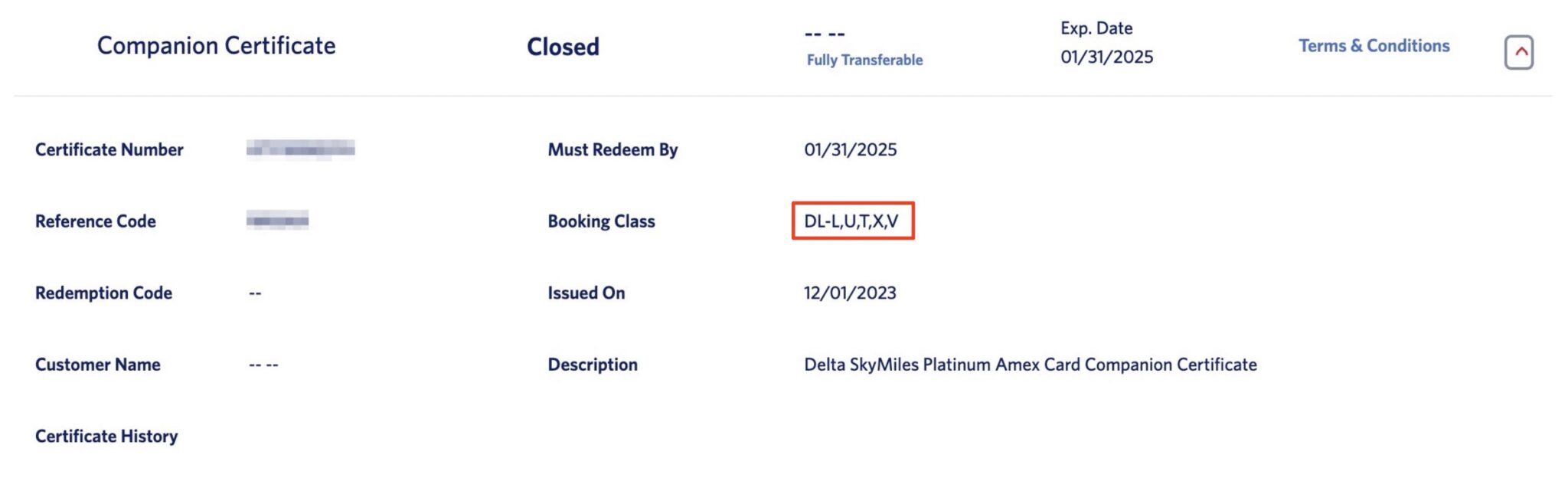 Easy Ways to Redeem Your Delta Companion Certificate This Winter