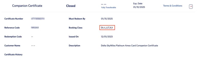 Easy Ways to Redeem Your Delta Companion Certificate This Winter