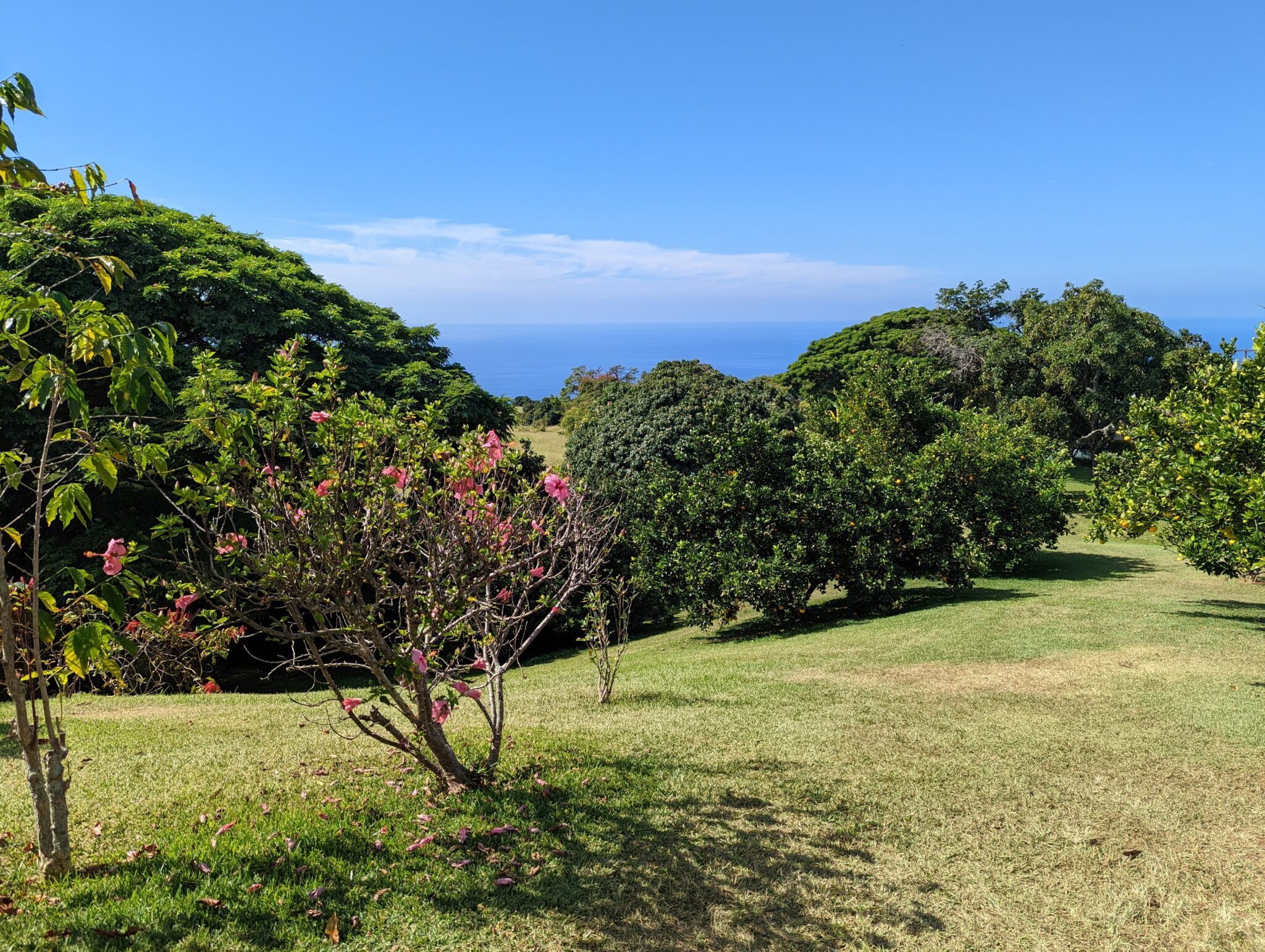 The Best Time To Visit Hawaii: A Month-by-Month Guide