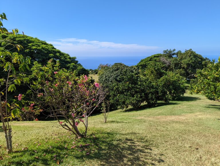 The Best Time To Visit Hawaii: A Month-by-Month Guide