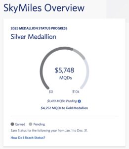 Closing in on Delta Status? Last-Minute Tips to Level Up Your Medallion ...