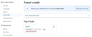 How to Find & Use Your Airline Vouchers and Travel Credits Wisely