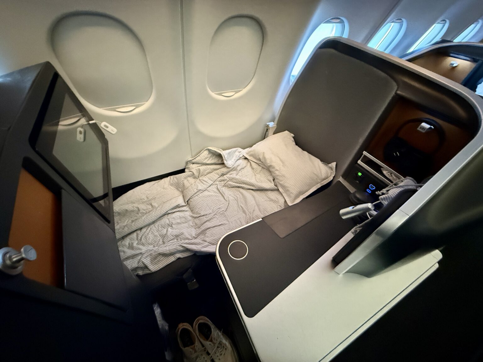 A So-So Scandinavian Flight: SAS Business Class Review, Copenhagen to ...