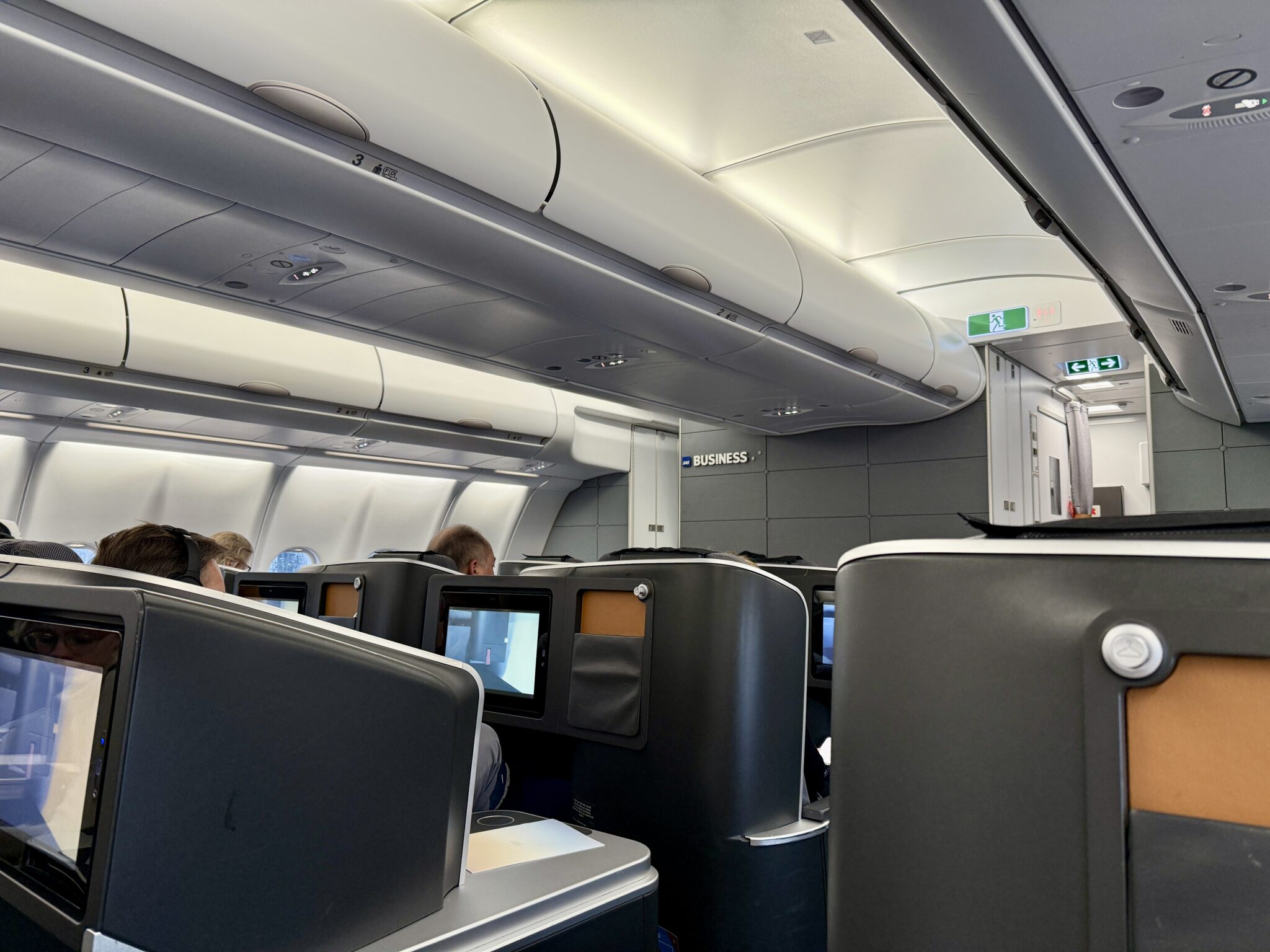 A So-So Scandinavian Flight: SAS Business Class Review, Copenhagen to ...